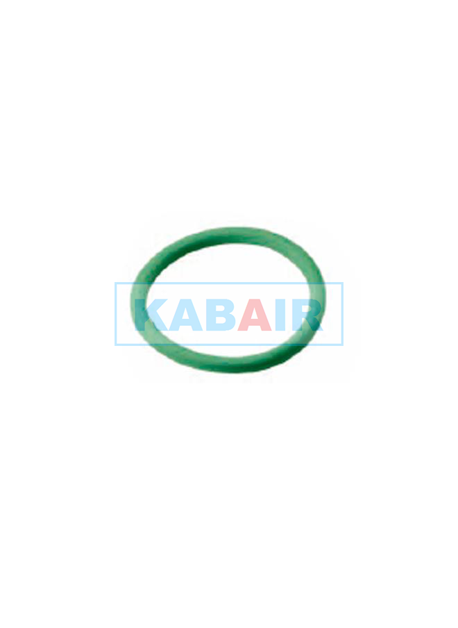Sanden/Nippondenso Manifold O-Ring | KABAIR – Kabair